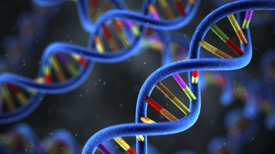 Home | Learning for a Lifetime | Stanford Online