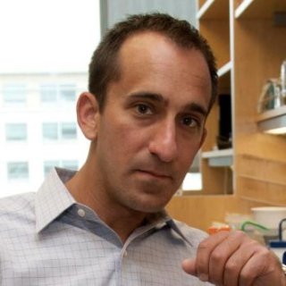 Michael Fischbach | Stanford Online