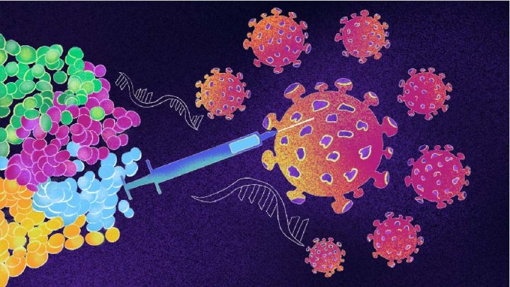 Principles and Practices of Gene Therapy | Stanford Online